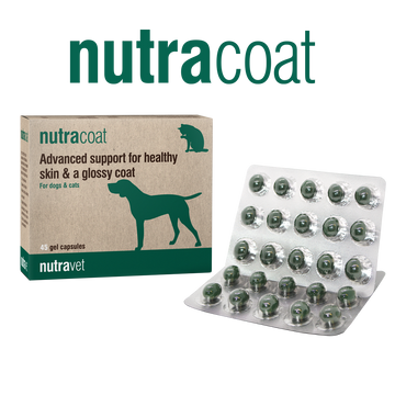 NutraVet available for delivery from Ziggy's for only £2.50 P&P – Ziggy ...
